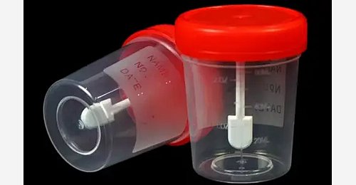 Does Stool Contain Bacteria? - Cangzhou Yongkang Medical Devices Co., Ltd